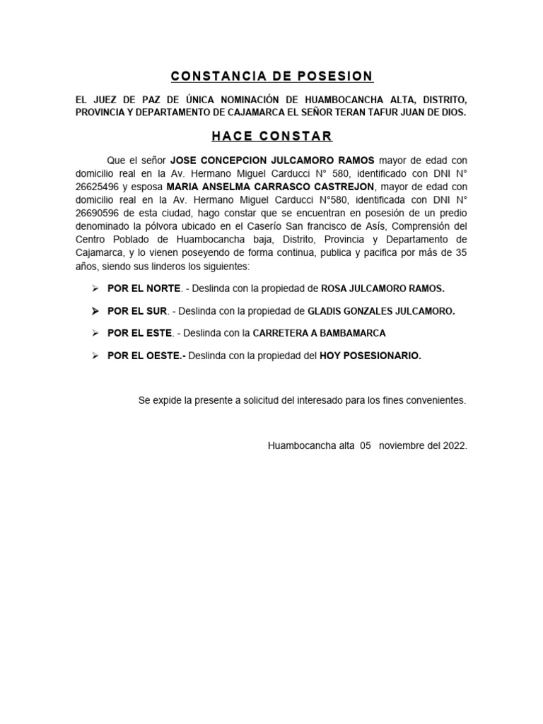 639441414-CONSTANCIA-DE-POSECION-concepcion | PDF