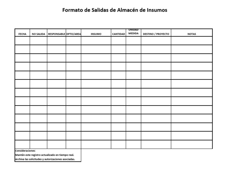 Formato Salidas de Almacen de Insumos | PDF