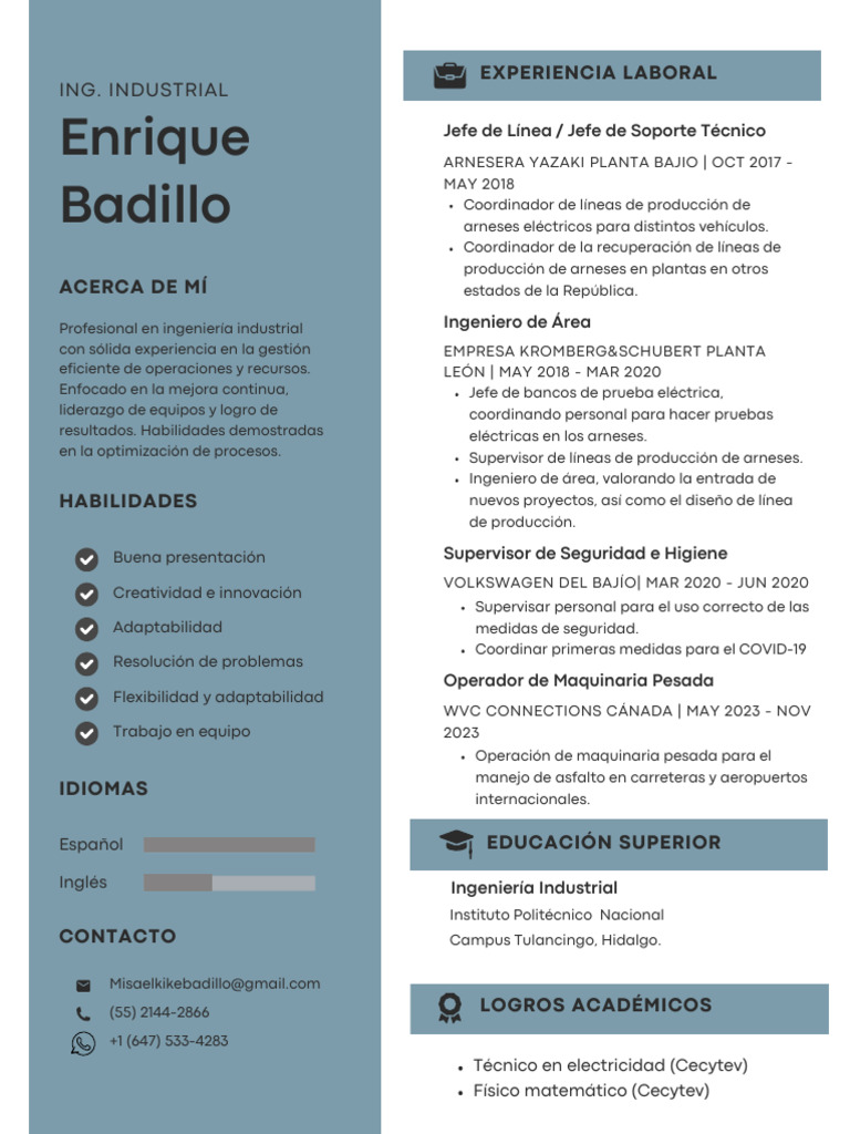 Currículum Enrique Badillo PDF | PDF