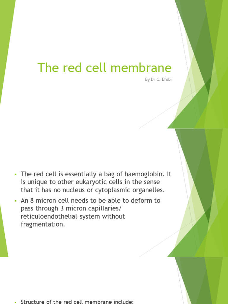 The red cell membrane | PDF