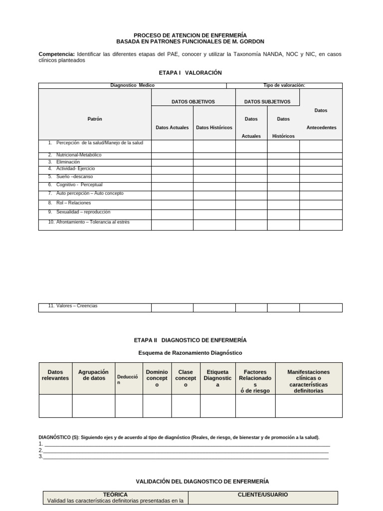 Modelo de Analisis PAE 2024 | PDF