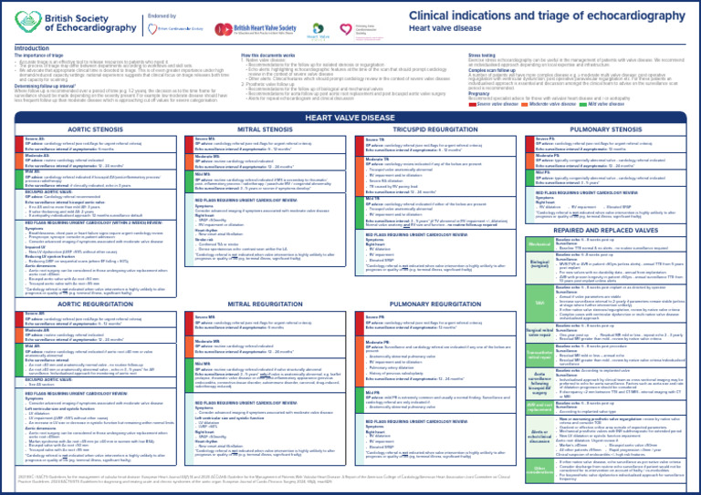 PUE004 Clinical Indications Triage Heart Valve Disease | PDF