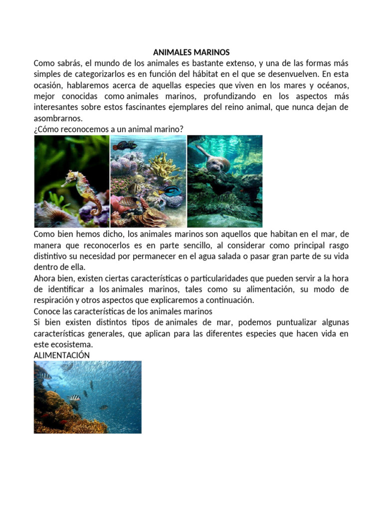Animales Marinos | PDF | Mar | Pescado