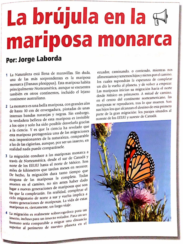 La brújula en la mariposa monarca | PDF