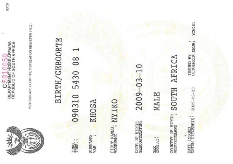 Birth Cerificate - Nyiko | PDF