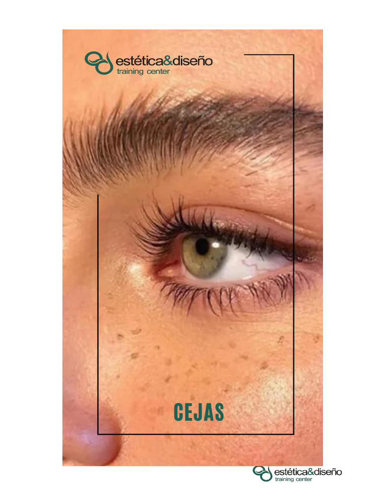 Depilacion Cejas - Mica | PDF