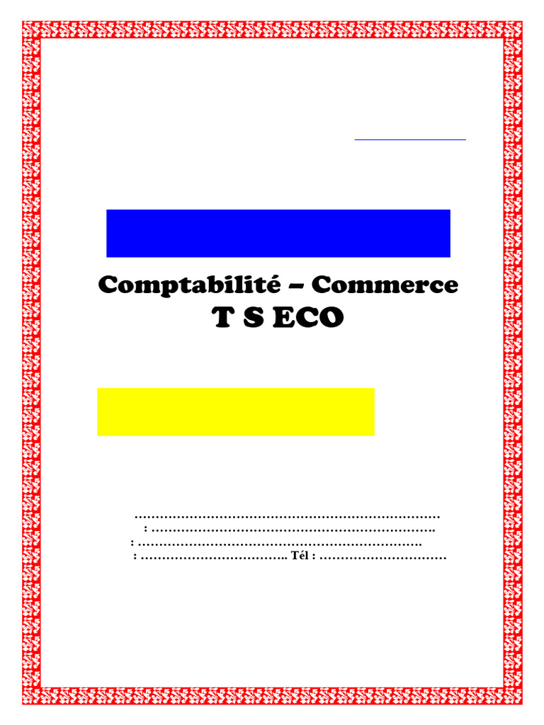 Stock Valorisaion TSECO | PDF