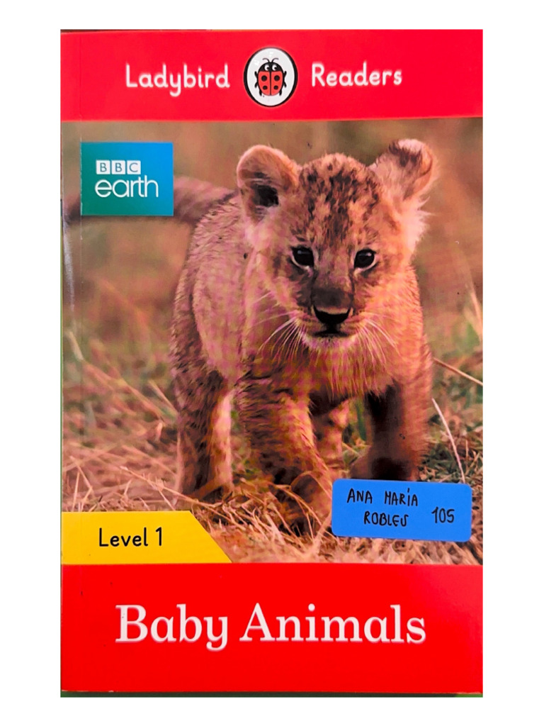 Baby Animals | PDF