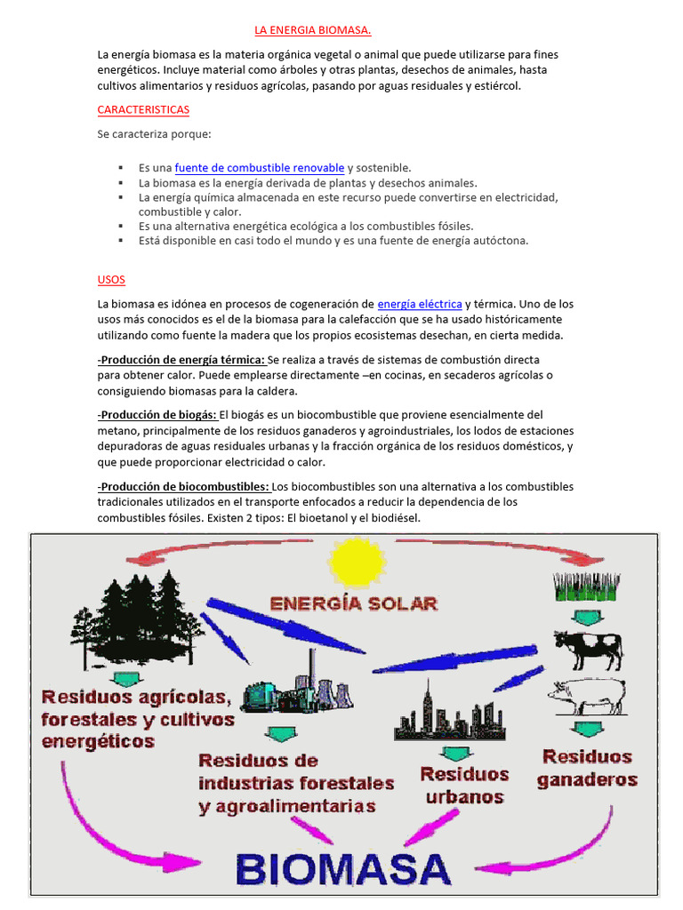 La Energia Biomasa | PDF