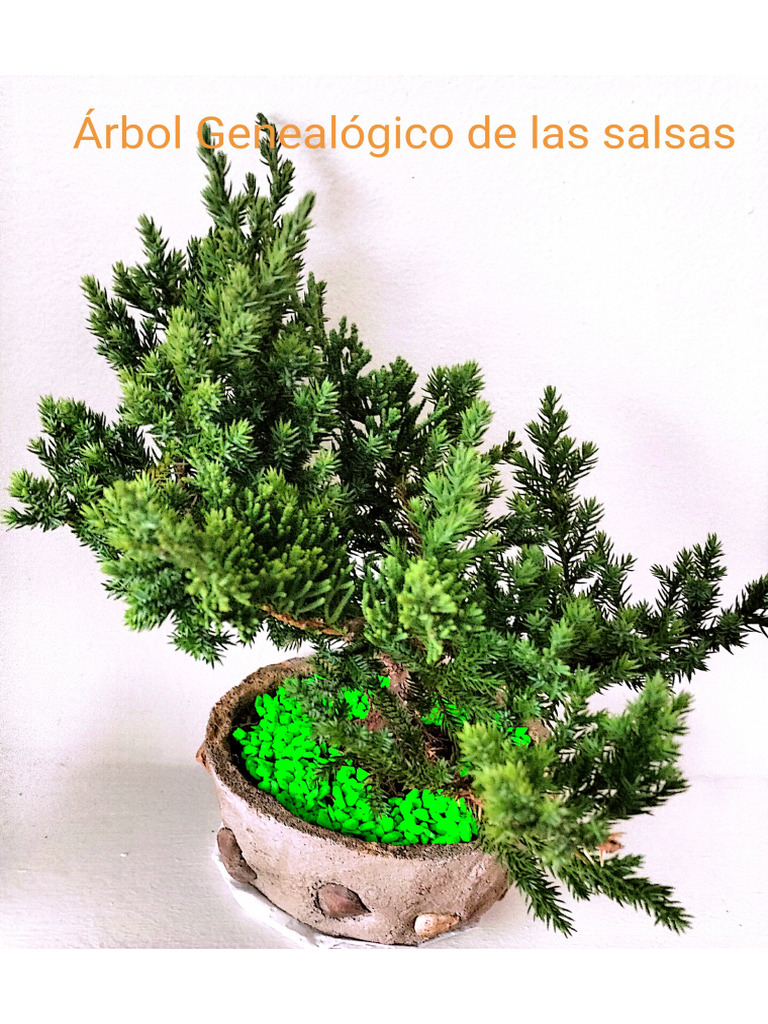 Árbol Genealógico, David Estiven Cepeda Cepeda | PDF