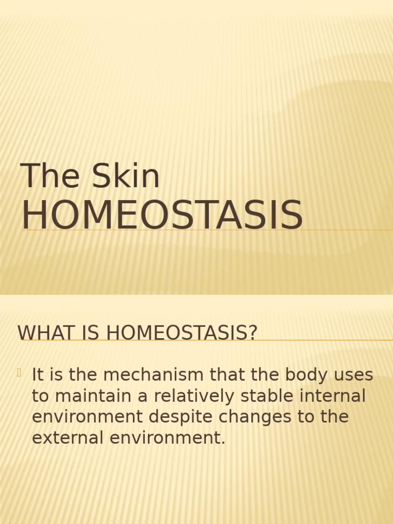 Form 1 - Biology - Chp 7 - Homeostasis - The Skin | PDF