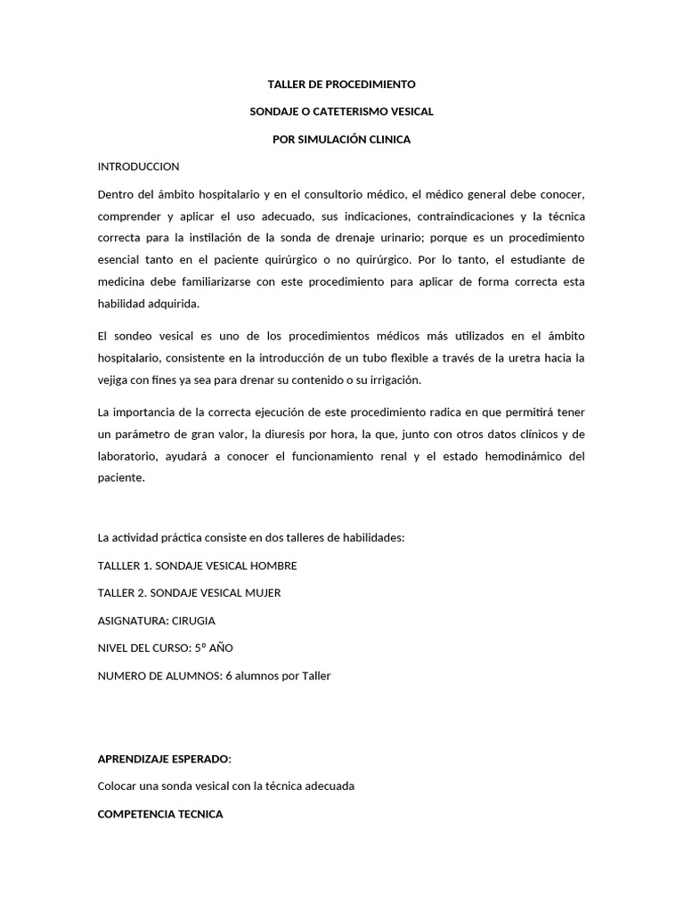 Normativas Taller Sondaje Vesical | PDF