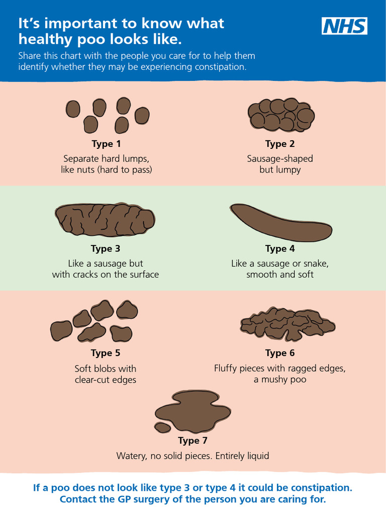 Bristol-stool-chart-for-carer-web-version | PDF