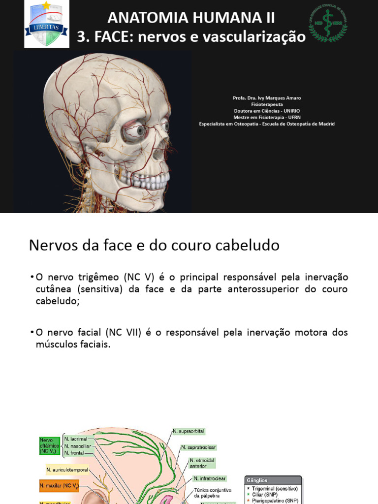 Inervação da Face e Couro Cabeludo | PDF | Anatomia humana | Cabeça e ...