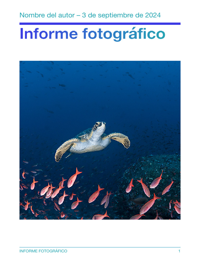 Informe Fotográfico | PDF