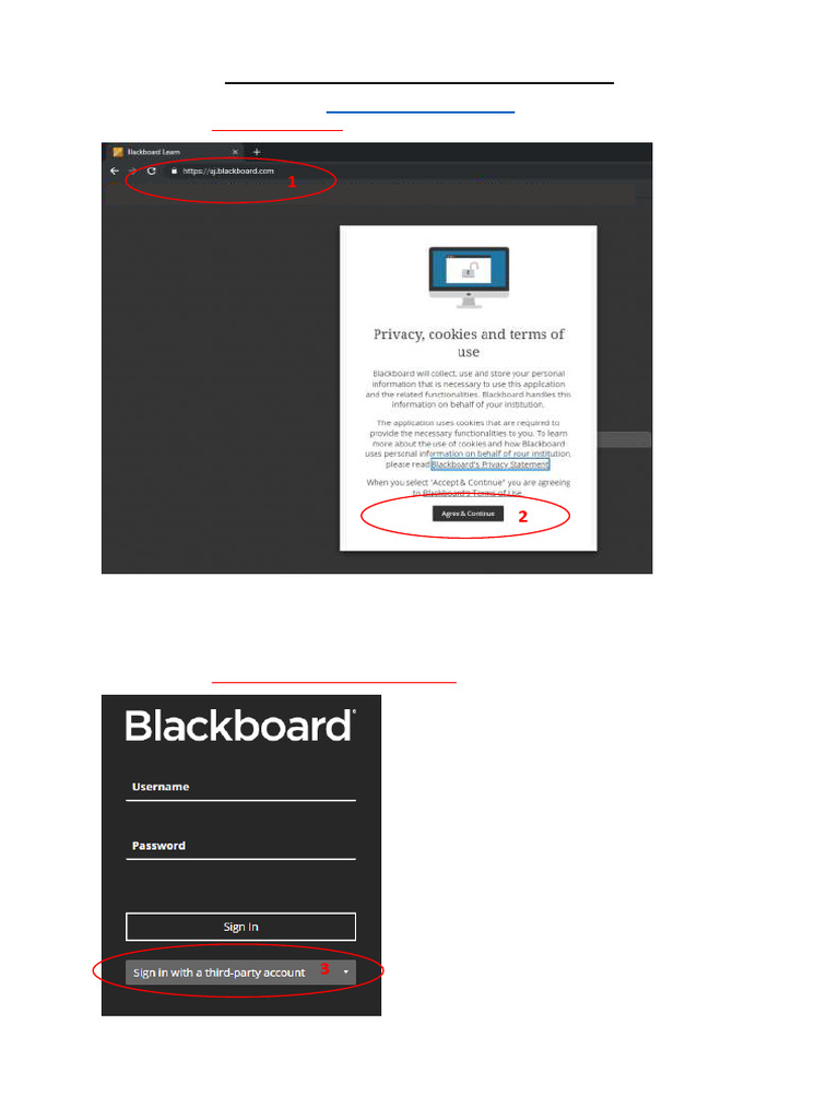 How To Log Onto Blackboard Without Using Ulink | PDF