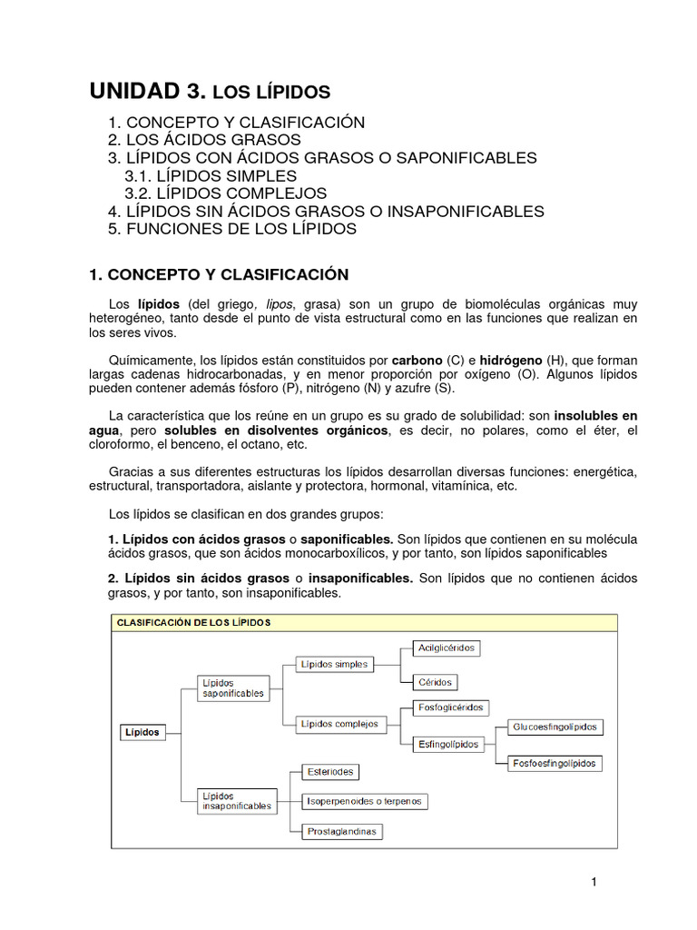Unidad 3. Los lÃ­pidos | PDF