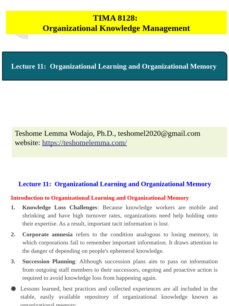 Lecture 11 Organizational Learning and Organizational Memory | PDF