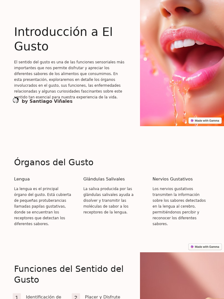 Introduccion A El Gusto | PDF