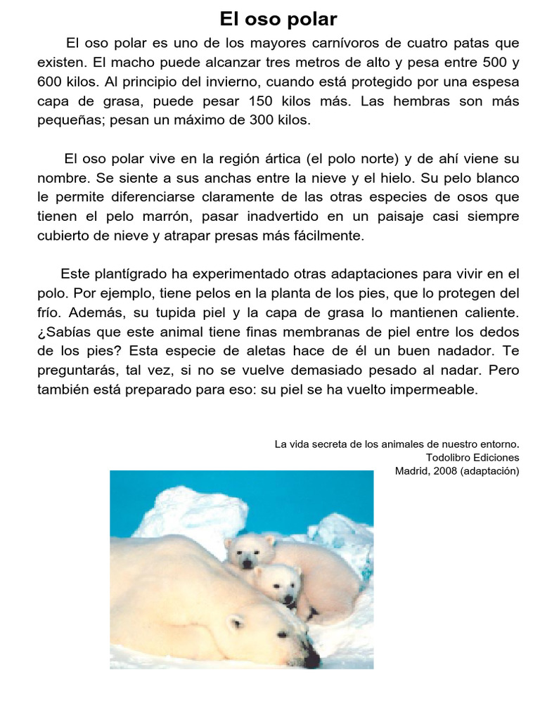 El oso polar El oso polar es uno de los mayores carnívoros de cuatro ...