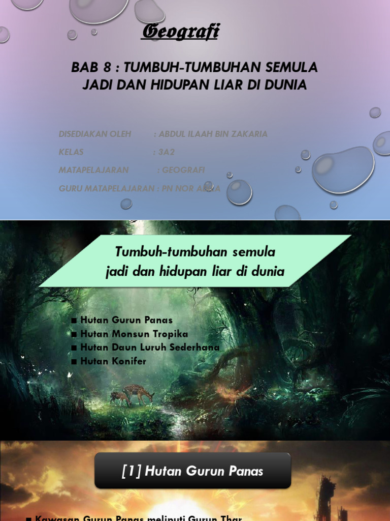 Geografi Bab 8 | PDF