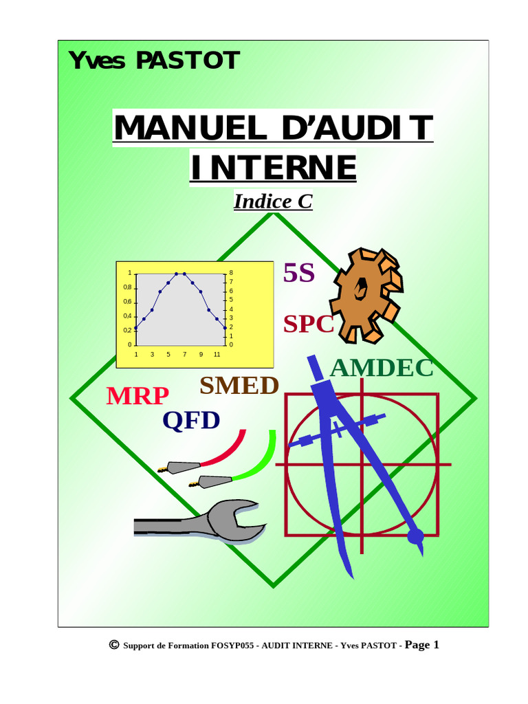 Manuel Audiit Qualité FOSYP 055 | PDF