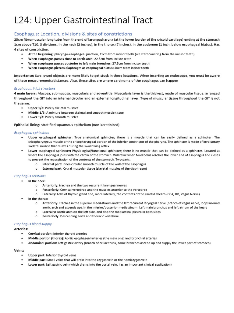 L24 Upper Gastrointestinal Tract | PDF