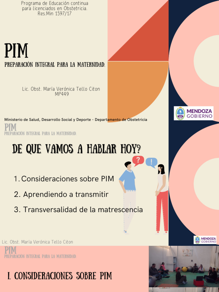 Presentacion PIM | PDF