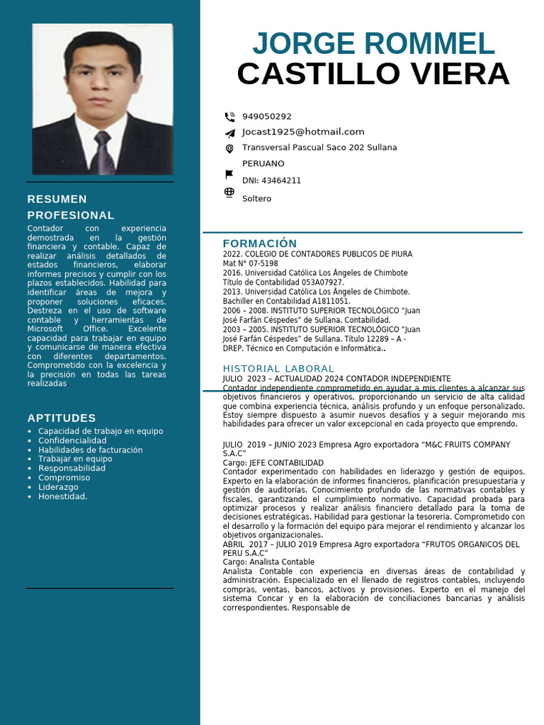 Curriculum Jorge - Rommel - Castillo - Viera | PDF