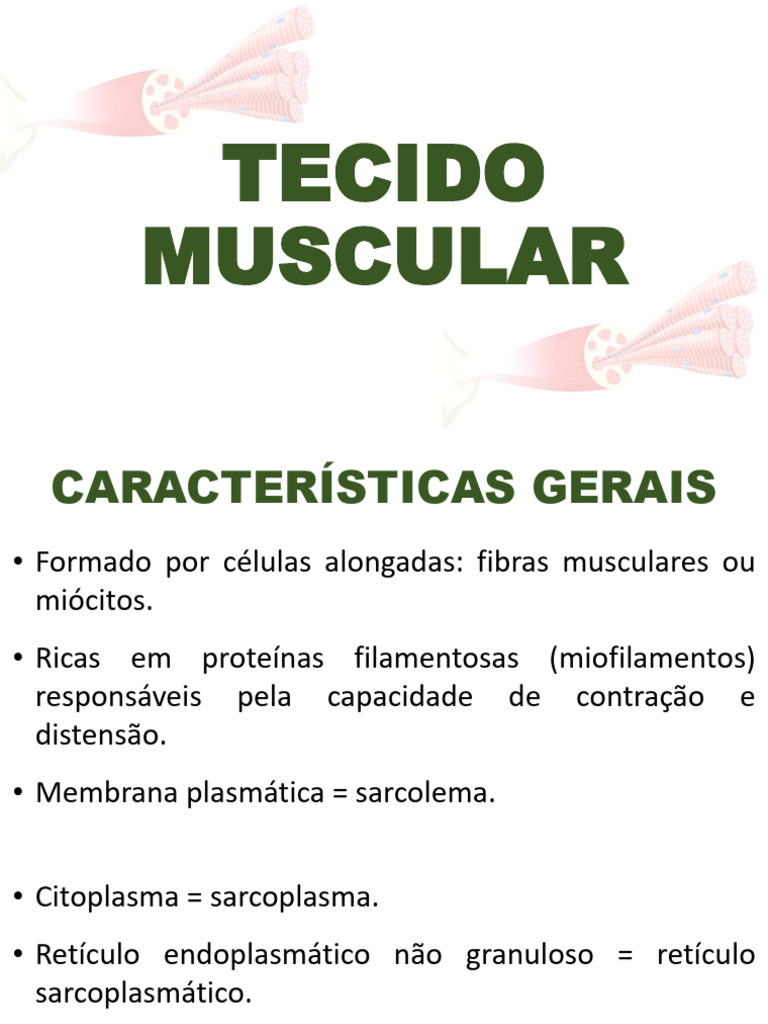 Tecido Muscular | PDF