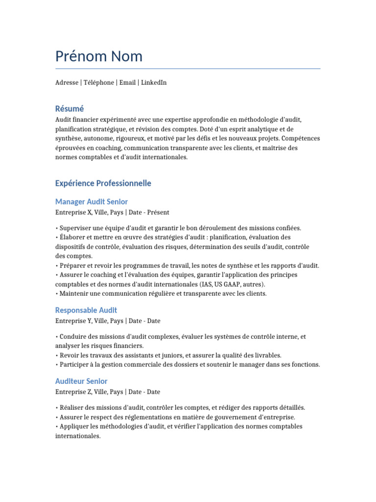 CV Senior Audit Manager | PDF