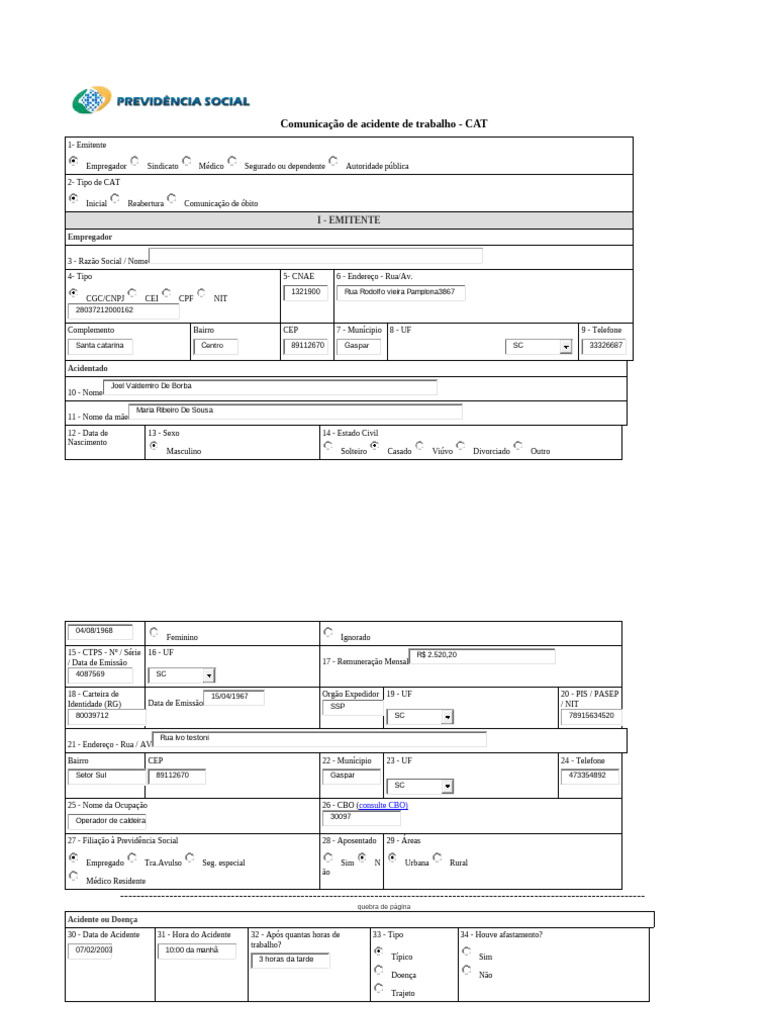 Anexo 1 - Formulário CAT (3) | PDF
