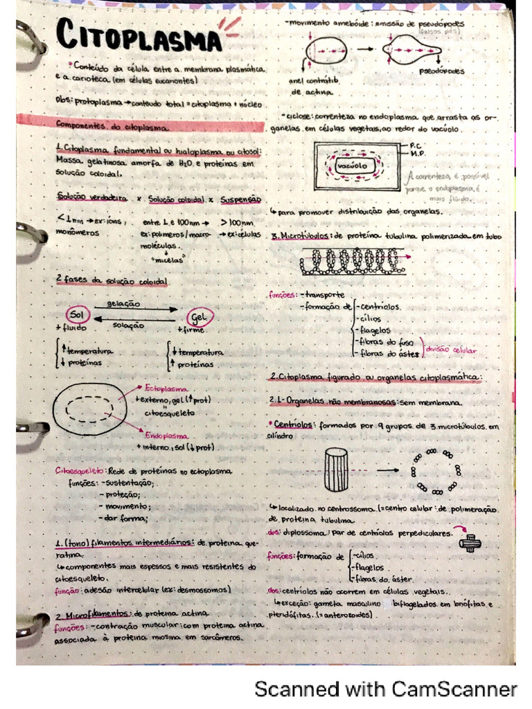 Resumo Citologia - Citoplasma e Organela | PDF
