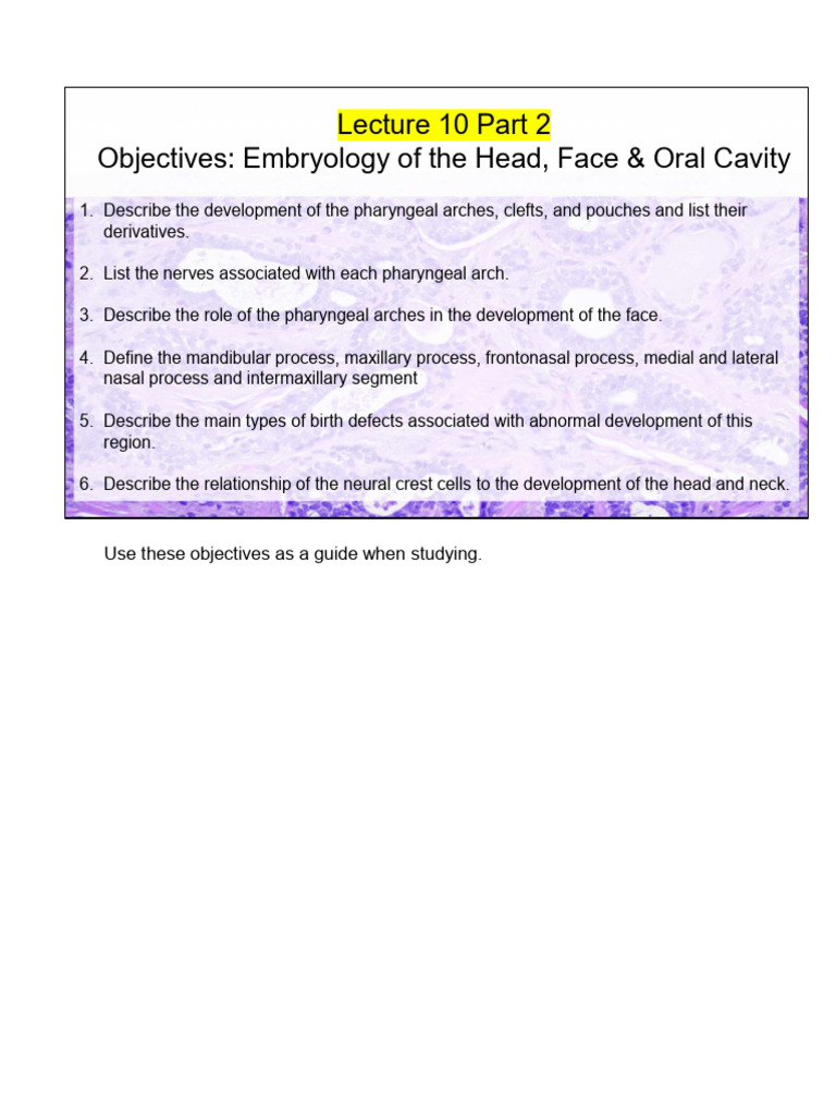 Lecture 10 Part 2 | PDF