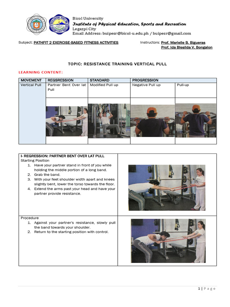Vertical Pull Handout | PDF
