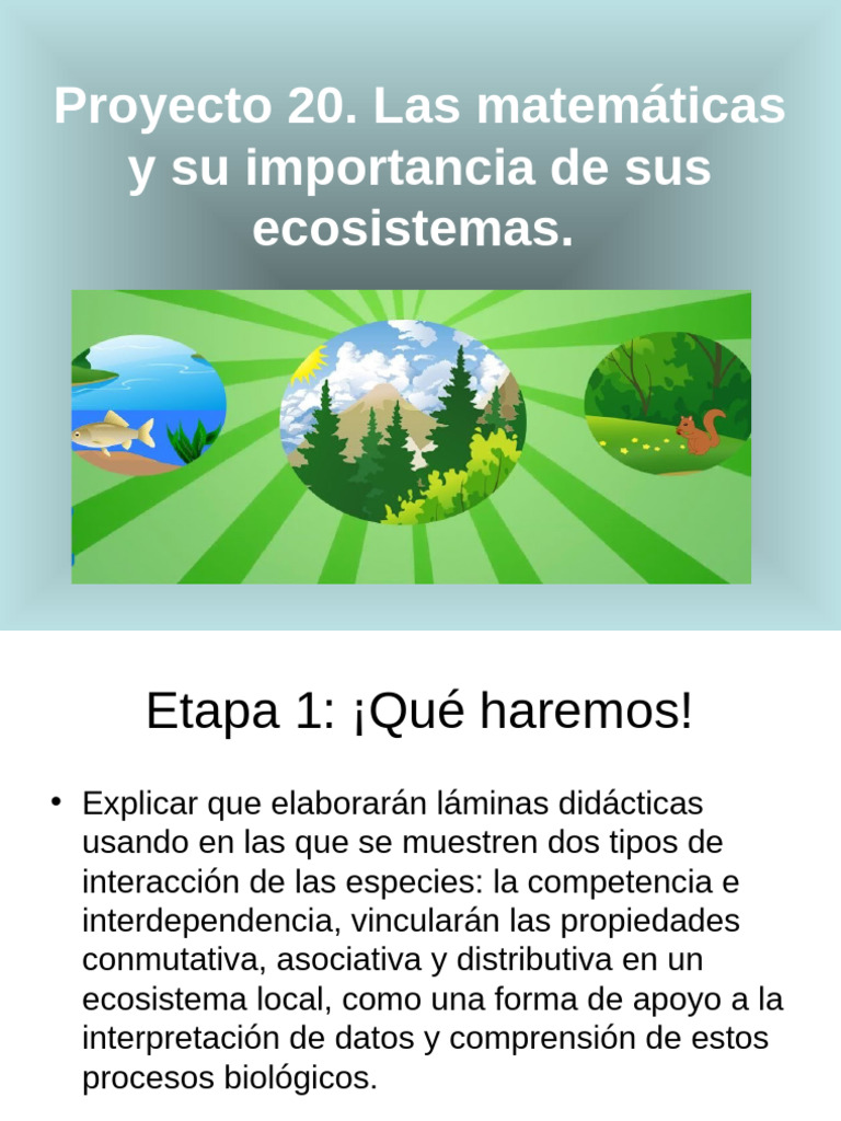 Las Matemáticas y Su Importancia de Sus Ecosistemas | PDF