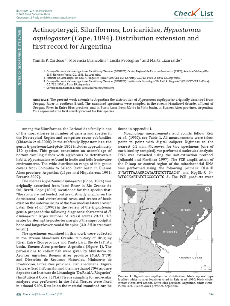 Actinopterygii, Siluriformes, Loricariidae | PDF