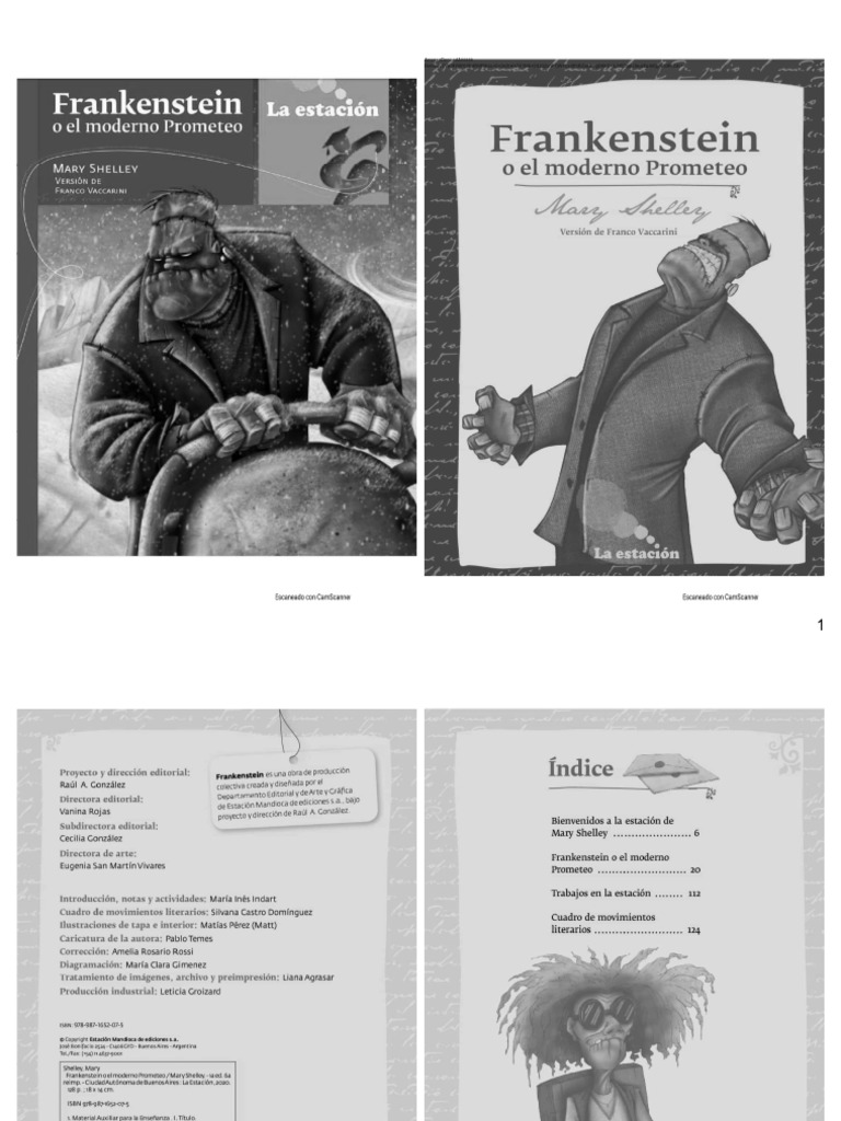 Frankenstein | PDF