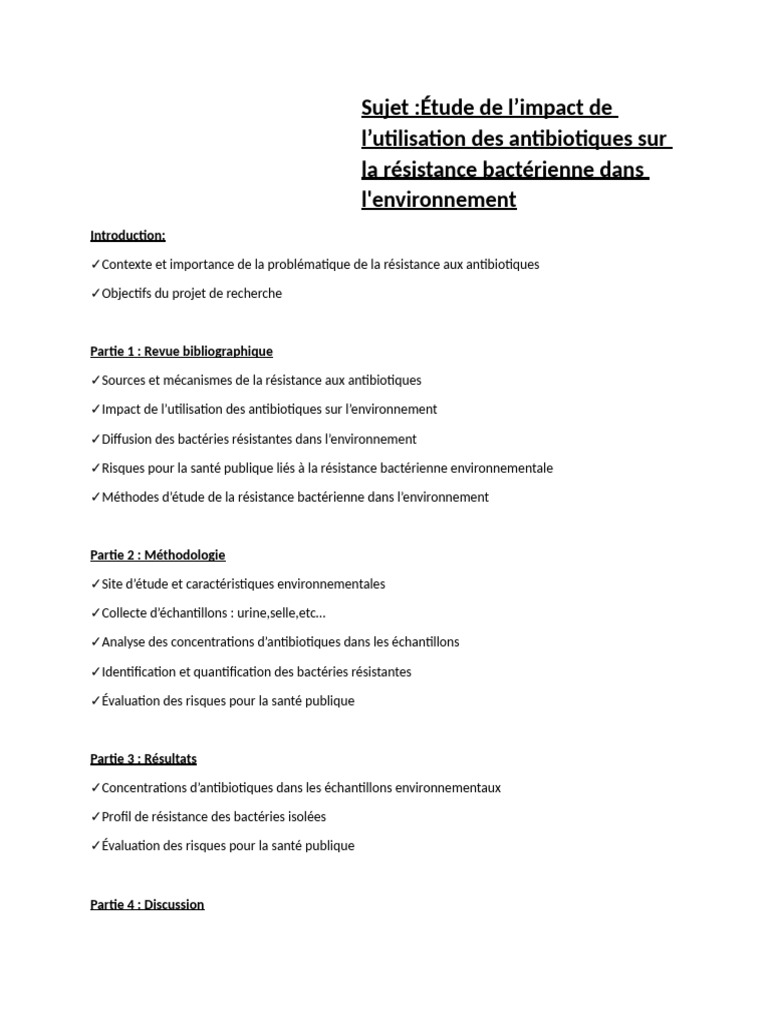 Plan Du PFE | PDF