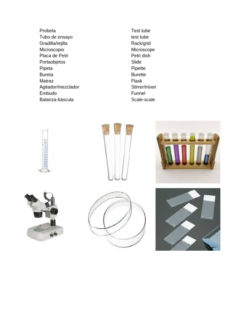 12 instrumentos de laboratorio español e ingles | PDF