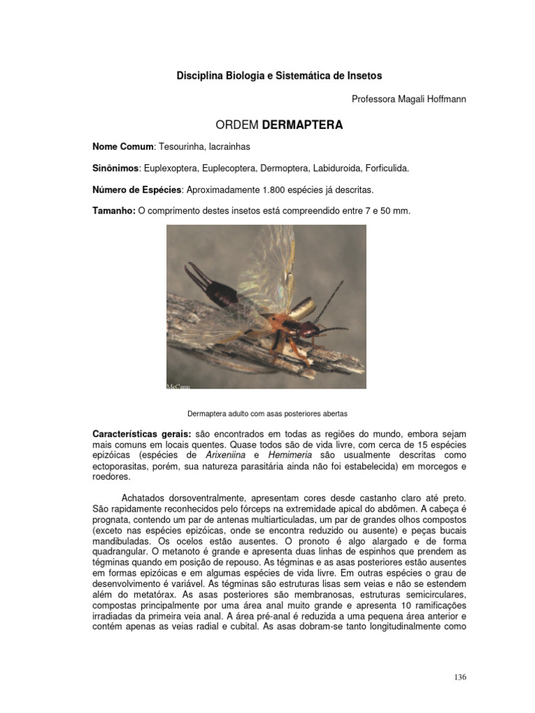 2011 - Dermaptera, Phasmatodea e Embioptera | PDF