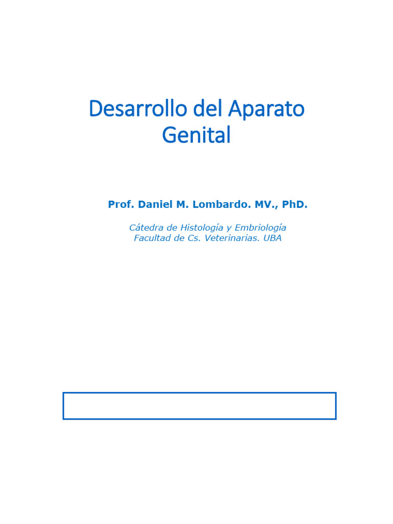 BDA 13.genital | PDF