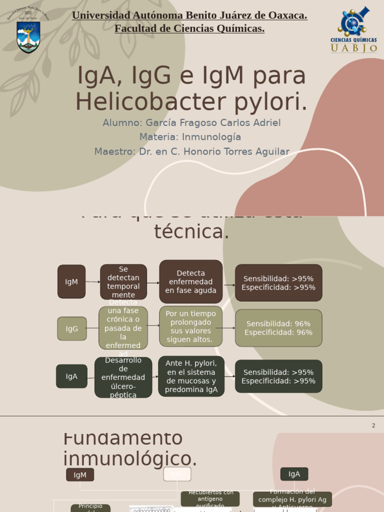 IgA, IgG e IgM para Helicobacter Pylori | PDF