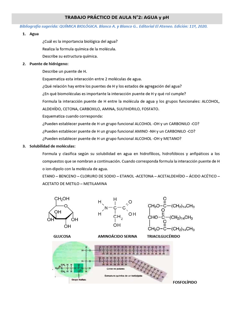 2. TP AULA N°2 AGUA pH LK.LO.2024 | PDF