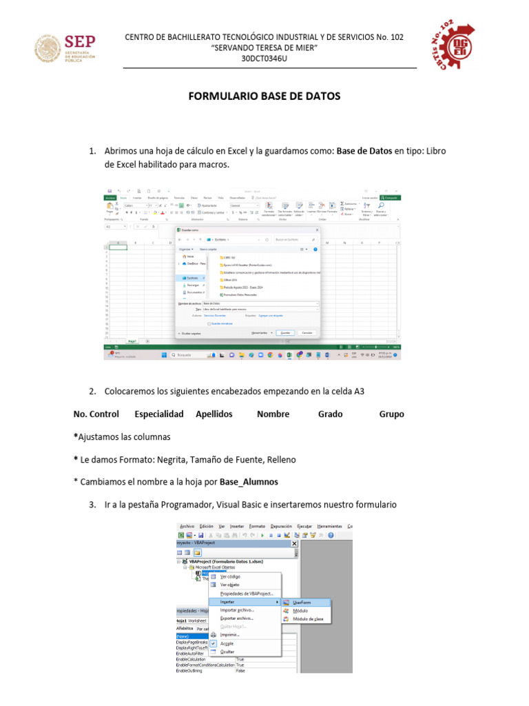 Formulario Macros Base de Datos | PDF