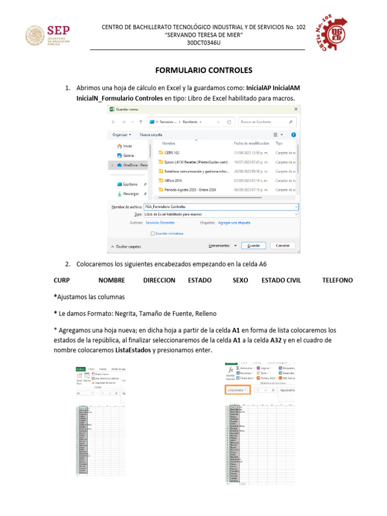 Formulario Controles | PDF
