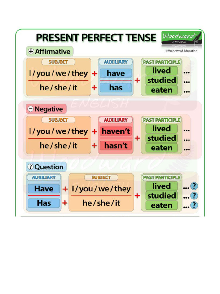 Examples of Questions With Present Perfect | PDF