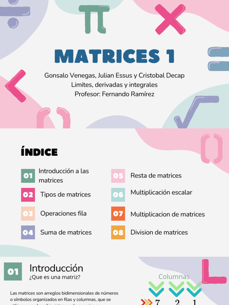 Matrices | PDF