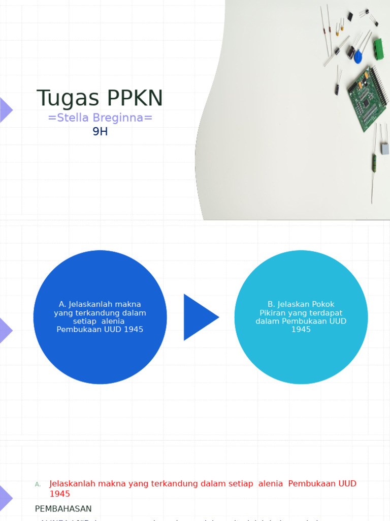 Tugas PPKN Stella Breginna | PDF
