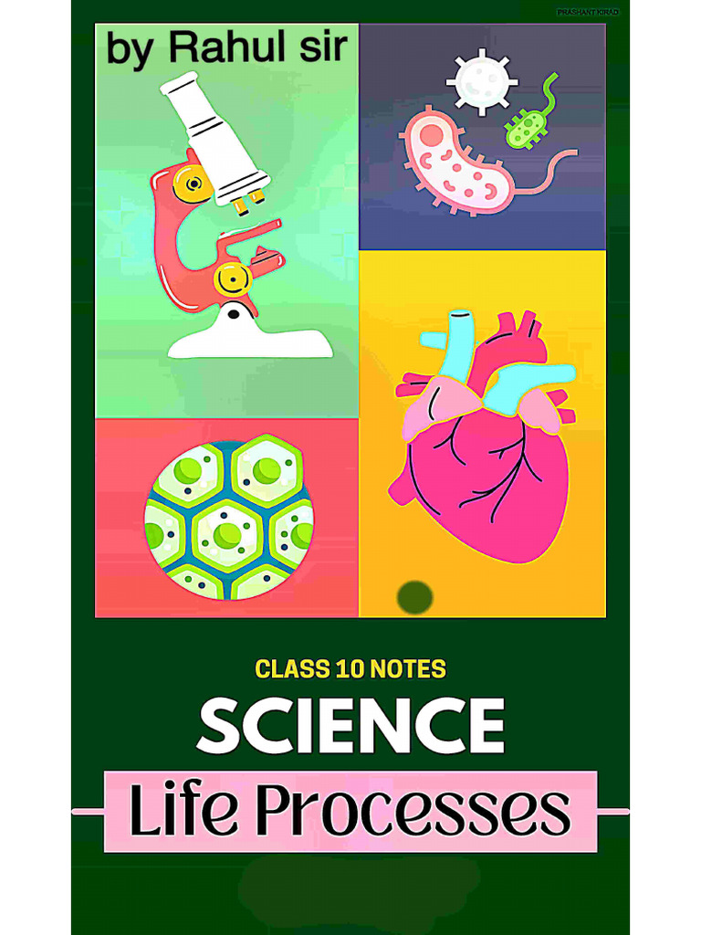 The Life Process Class 10 Notes Detail With Question Bank | PDF The Life Process Class 10 Notes Detail With Question Bank | PDF